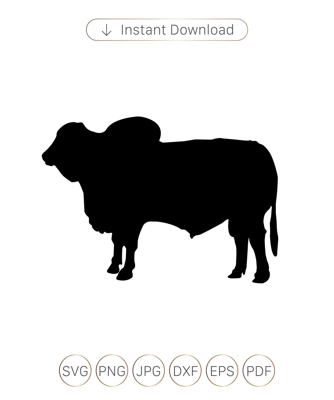 Brahman Bull SVG File-brahman Bull Vector Art- Livestock Svg File ...