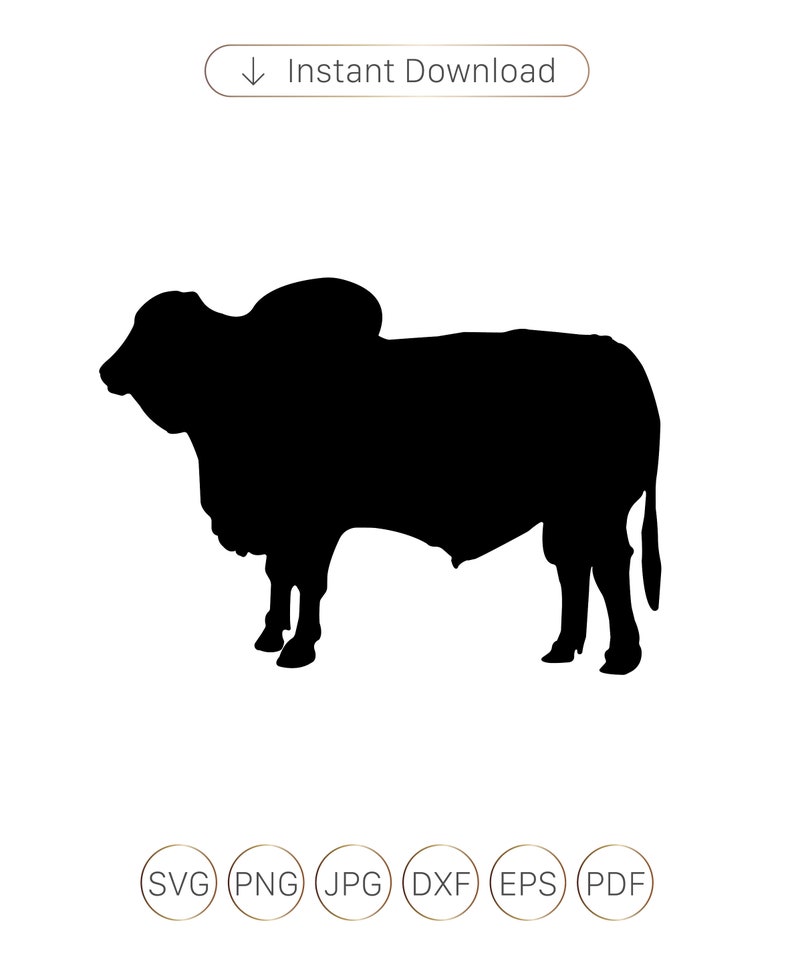 Brahman Bull SVG File-brahman Bull Vector Art Livestock Svg | Etsy
