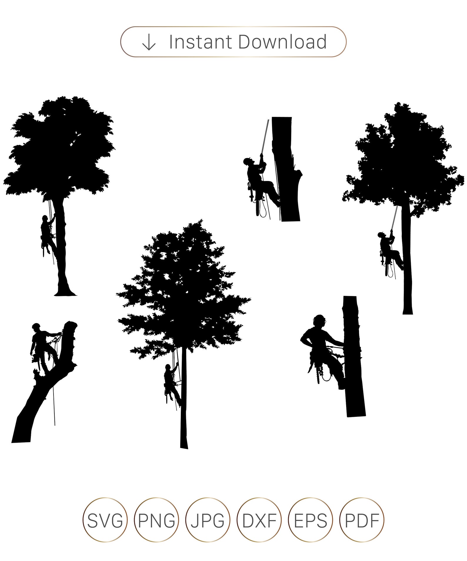 Tree Services SVG, Tree Arborist SVG, Tree Trimming SVG, Tree Climbing ...