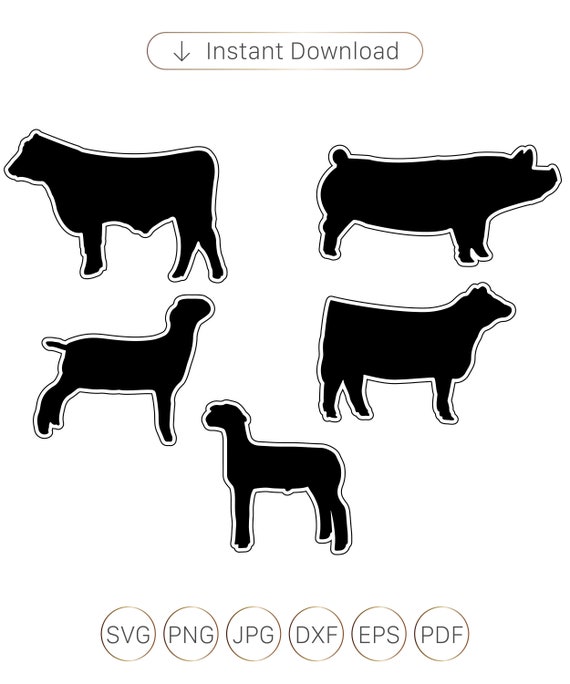 Livestock Show Animal Clipart