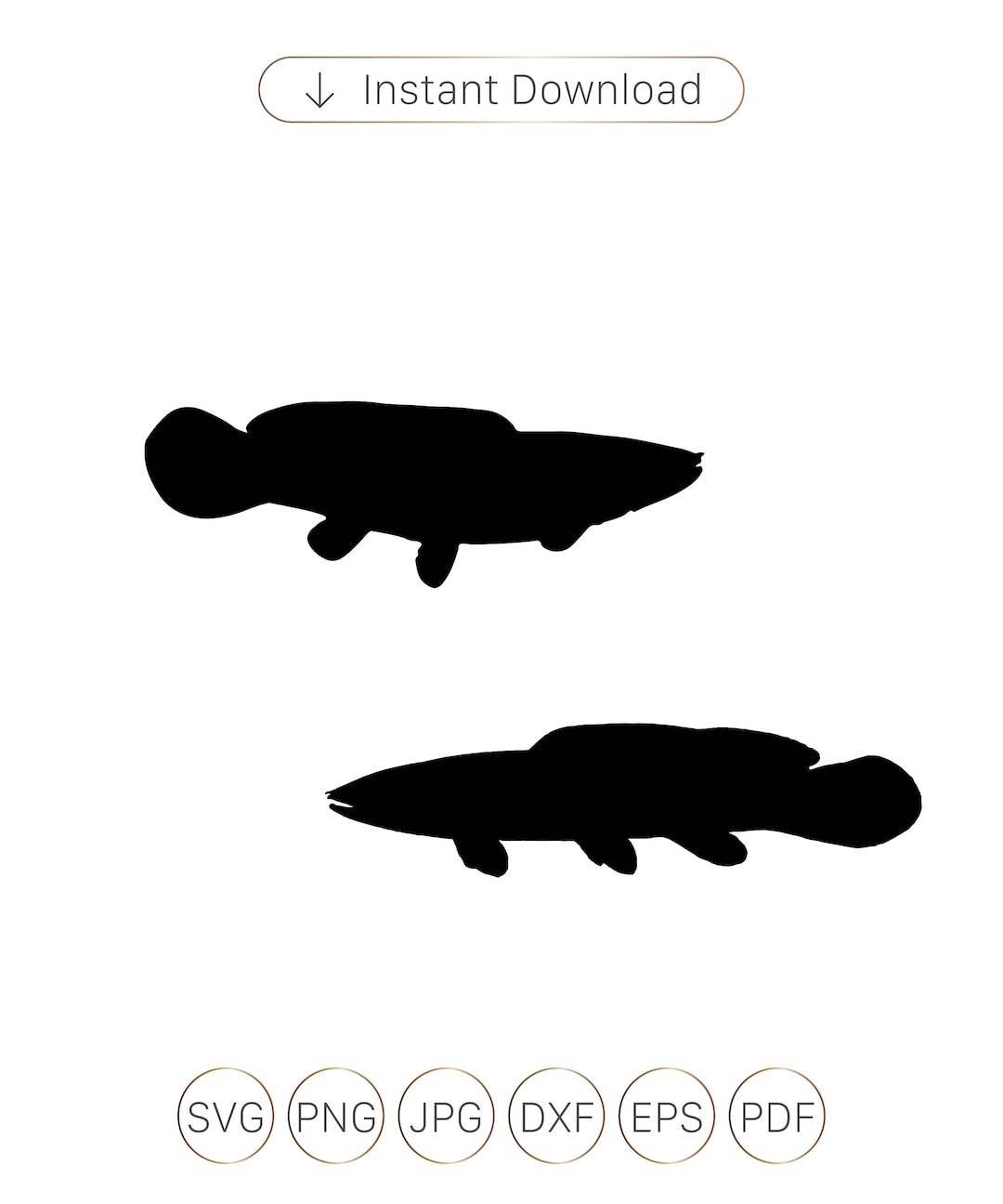Bowfin Fishing Svg,fishing Svg,bowfin Fish Svg,bowfin Silhouette,bowfin ...