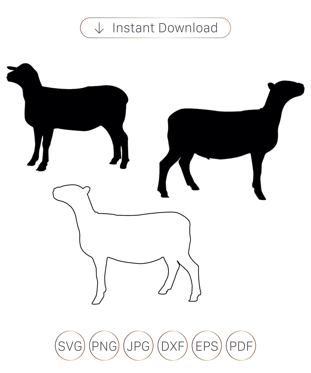 Show Sheep SVG, Show Sheep Silhouette, Show Sheep Outline, Show Sheep ...