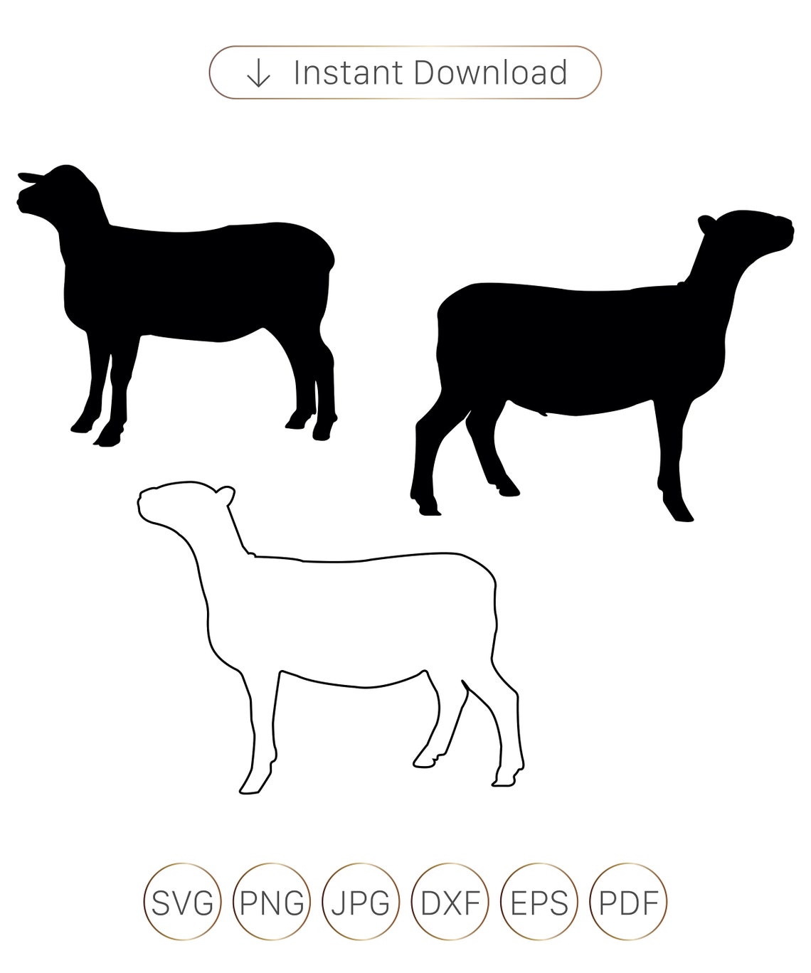 Show Sheep SVG Show Sheep Silhouette Show Sheep Outline - Etsy