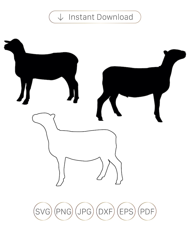 Show Sheep SVG Show Sheep Silhouette Show Sheep Outline - Etsy