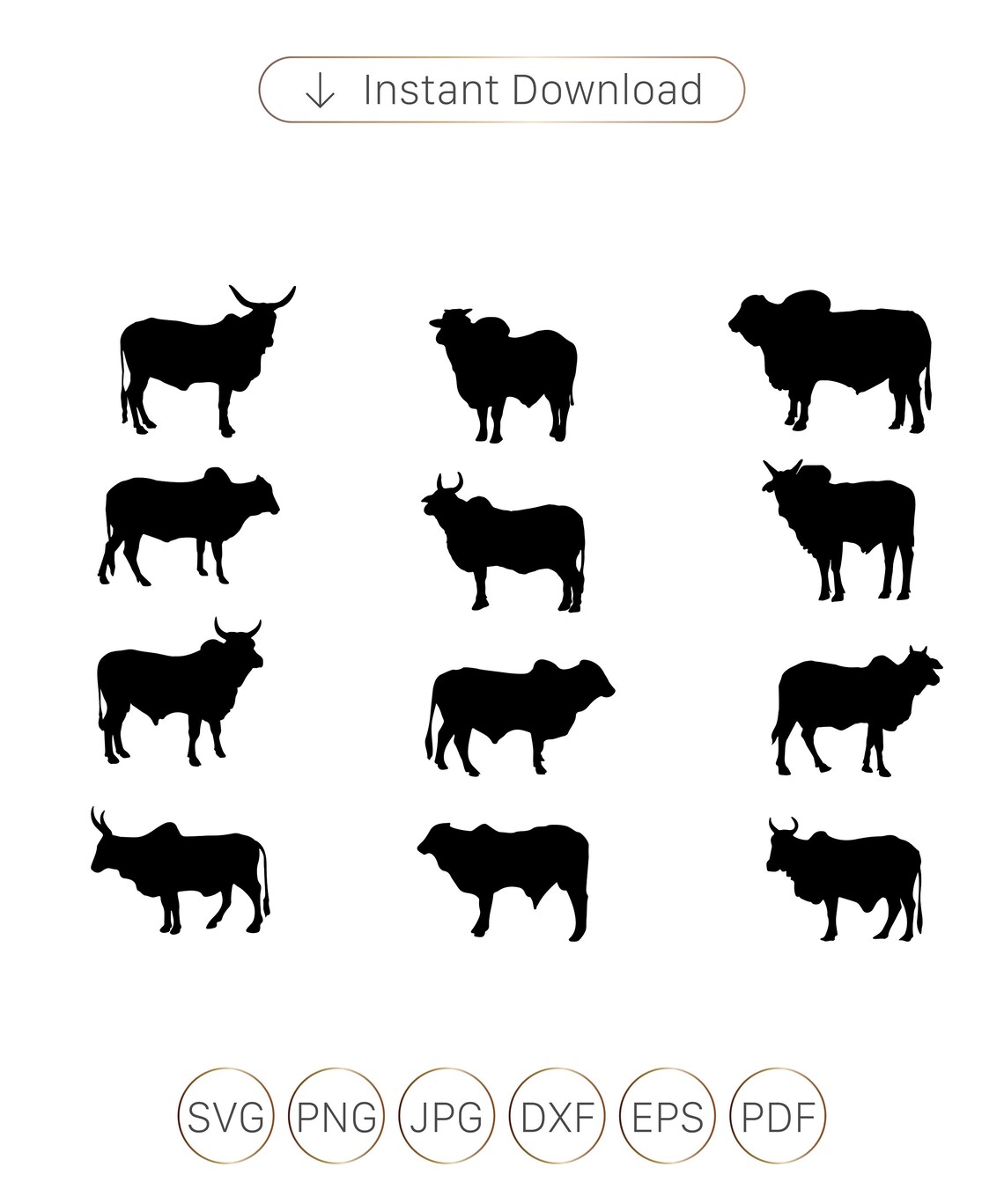 Brahman Bull SVG File-brahman Bull Vector Art Livestock Svg - Etsy