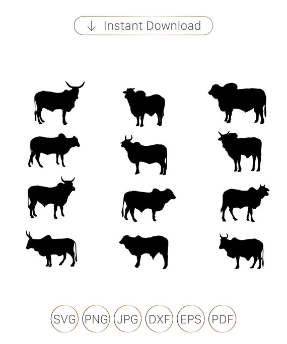 Brahman Bull SVG File-brahman Bull Vector Art Livestock Svg - Etsy