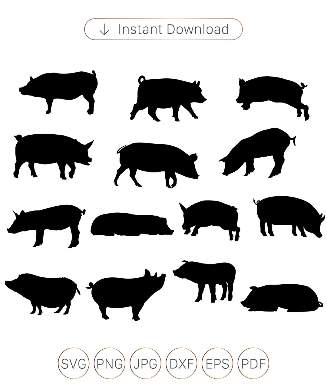 Pig SVG, Show Pig SVG, Pig Silhouette Svg,png,dxf,eps, Pig Outline ...