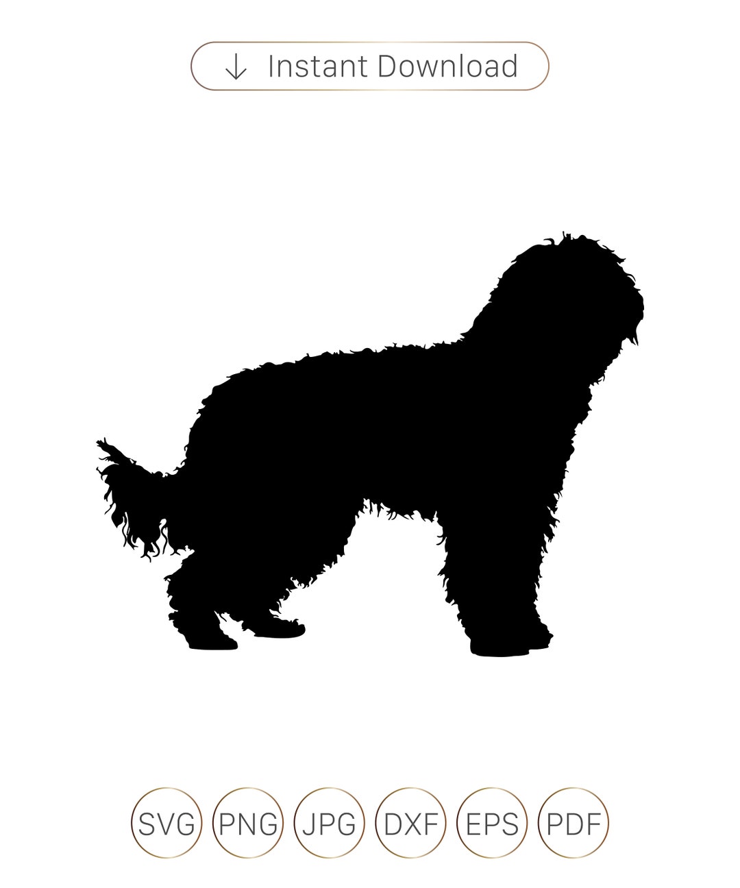 Barbet Dog Svg,barbet Dog Silhouette,barbet Dog Cricut,barbet Dog ...
