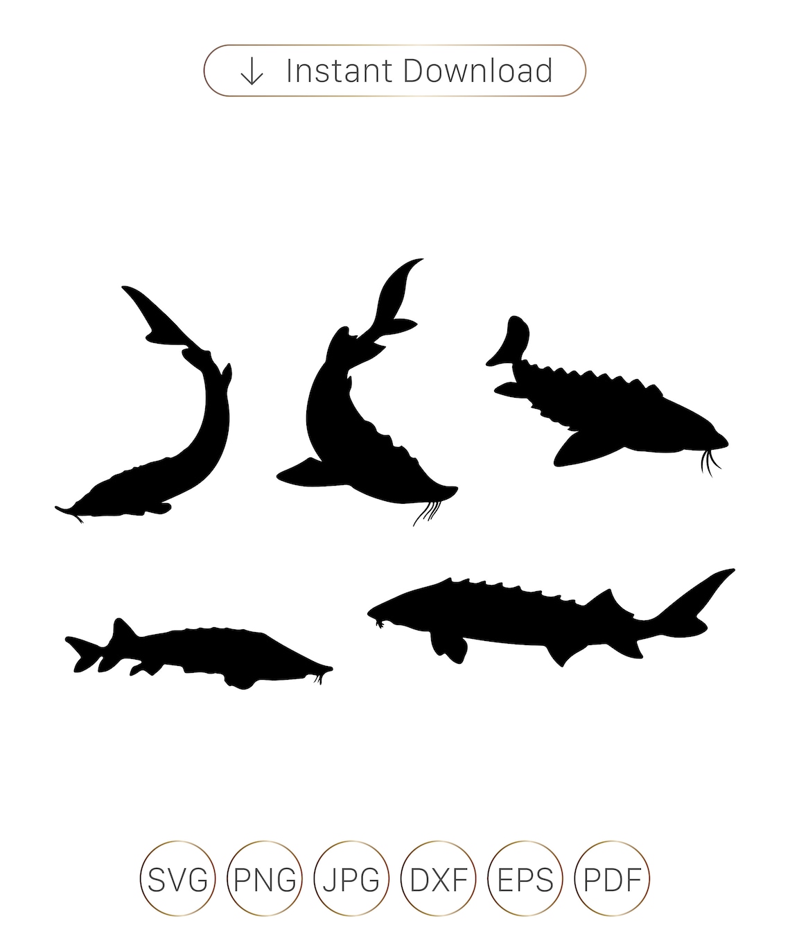 Sturgeon Fishing Svg Fishing Svg Sturgeon Fish Svg Sturgeon | Etsy