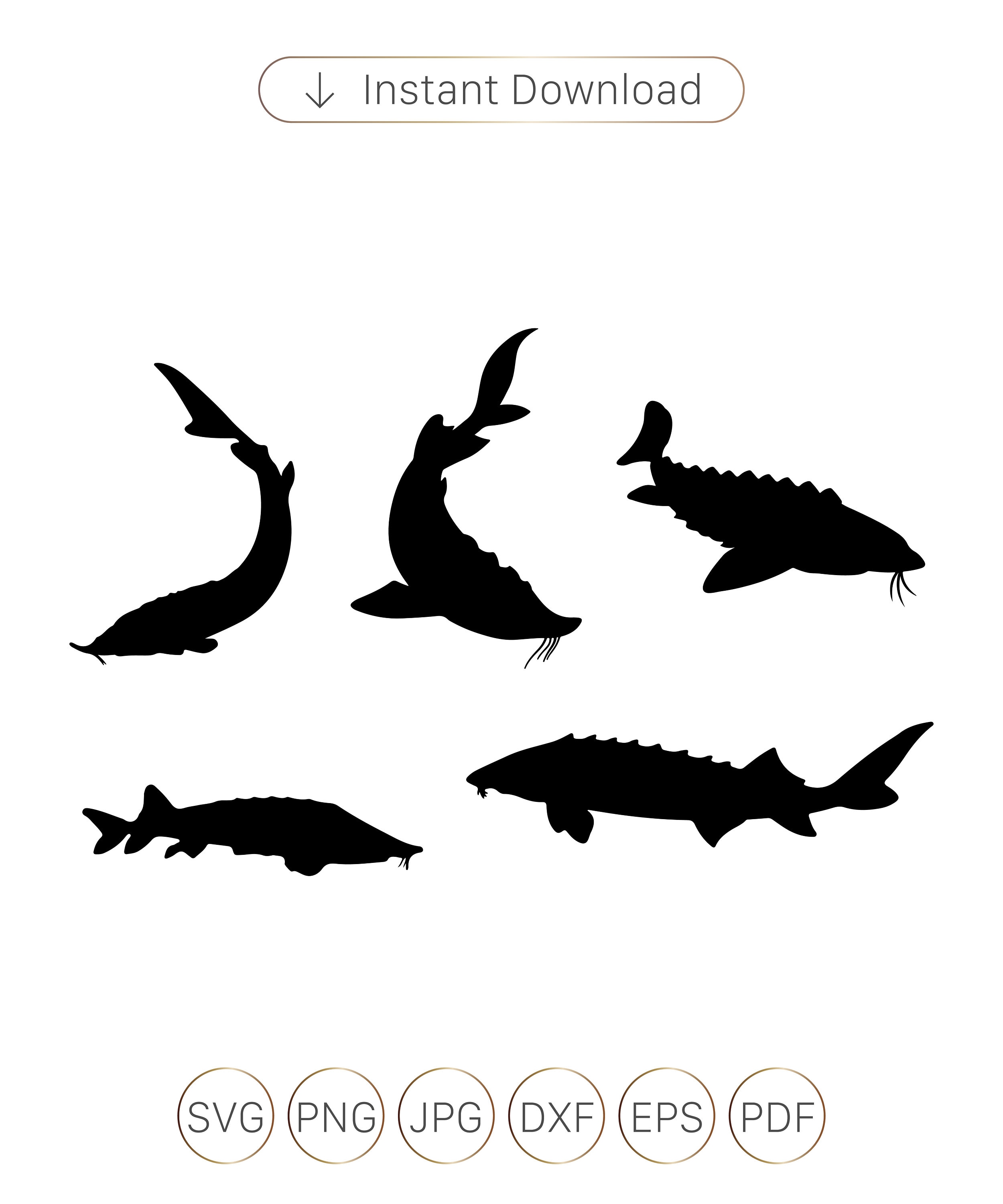 Sturgeon Fishing Svg Fishing Svg Sturgeon Fish Svg Sturgeon | Etsy