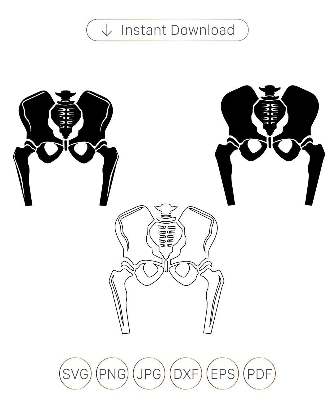 Hip Bone Svg, Hip Bone Cut Files, Ortholife Svg, Hip Bone Silhouette ...