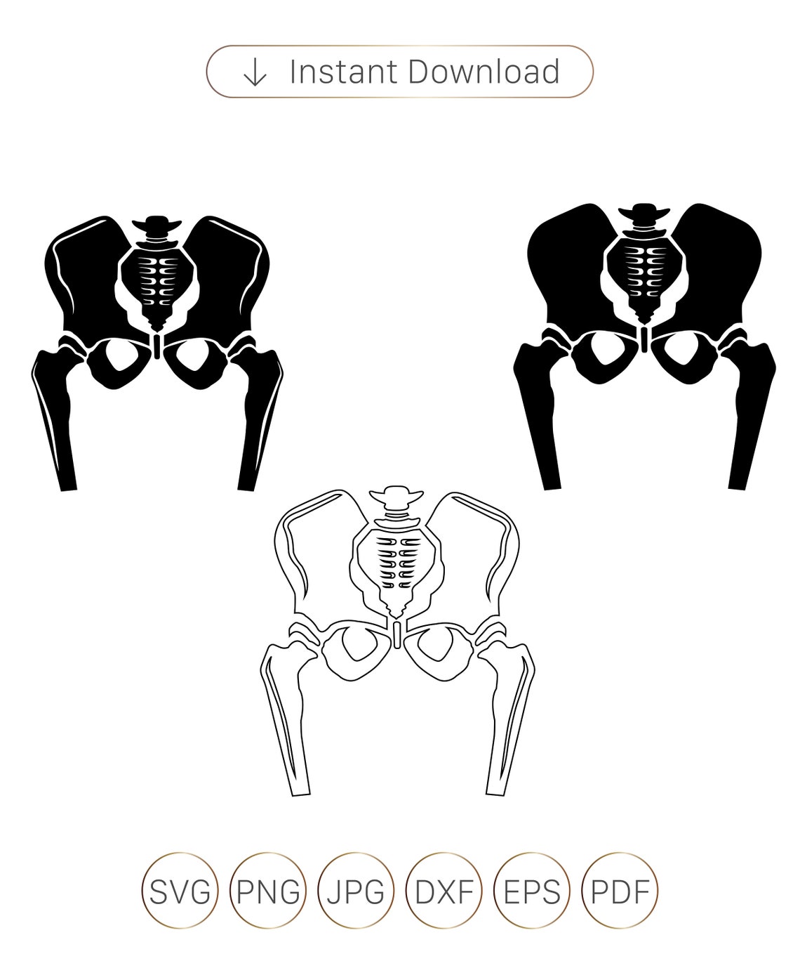 Hip Bone Svg Hip Bone Cut Files Ortholife Svg Hip Bone - Etsy