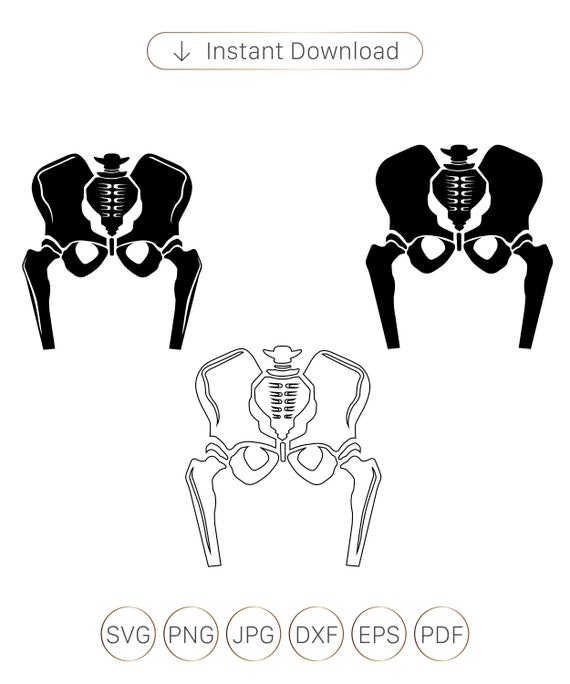 Hip Bone Svg Hip Bone Cut Files Ortholife Svg Hip Bone - Etsy UK