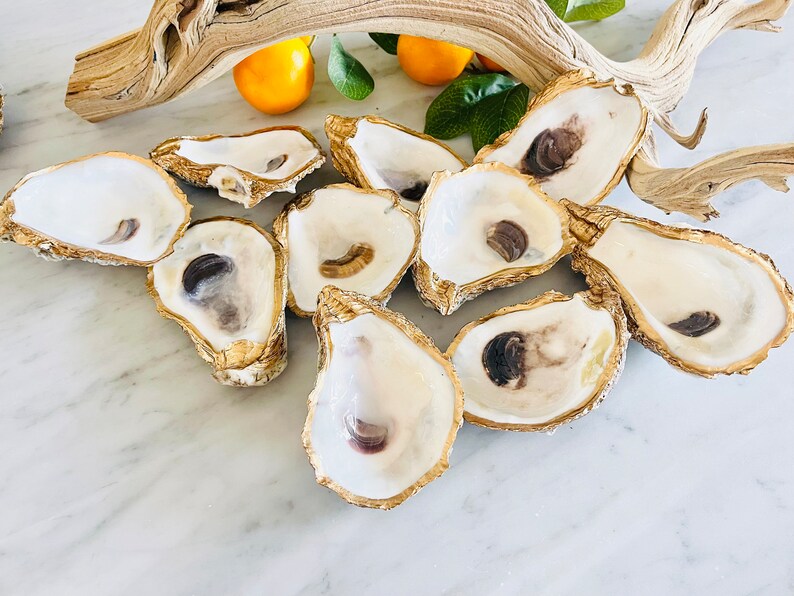 Gilded Oyster Shell Jewelry Dish - Etsy