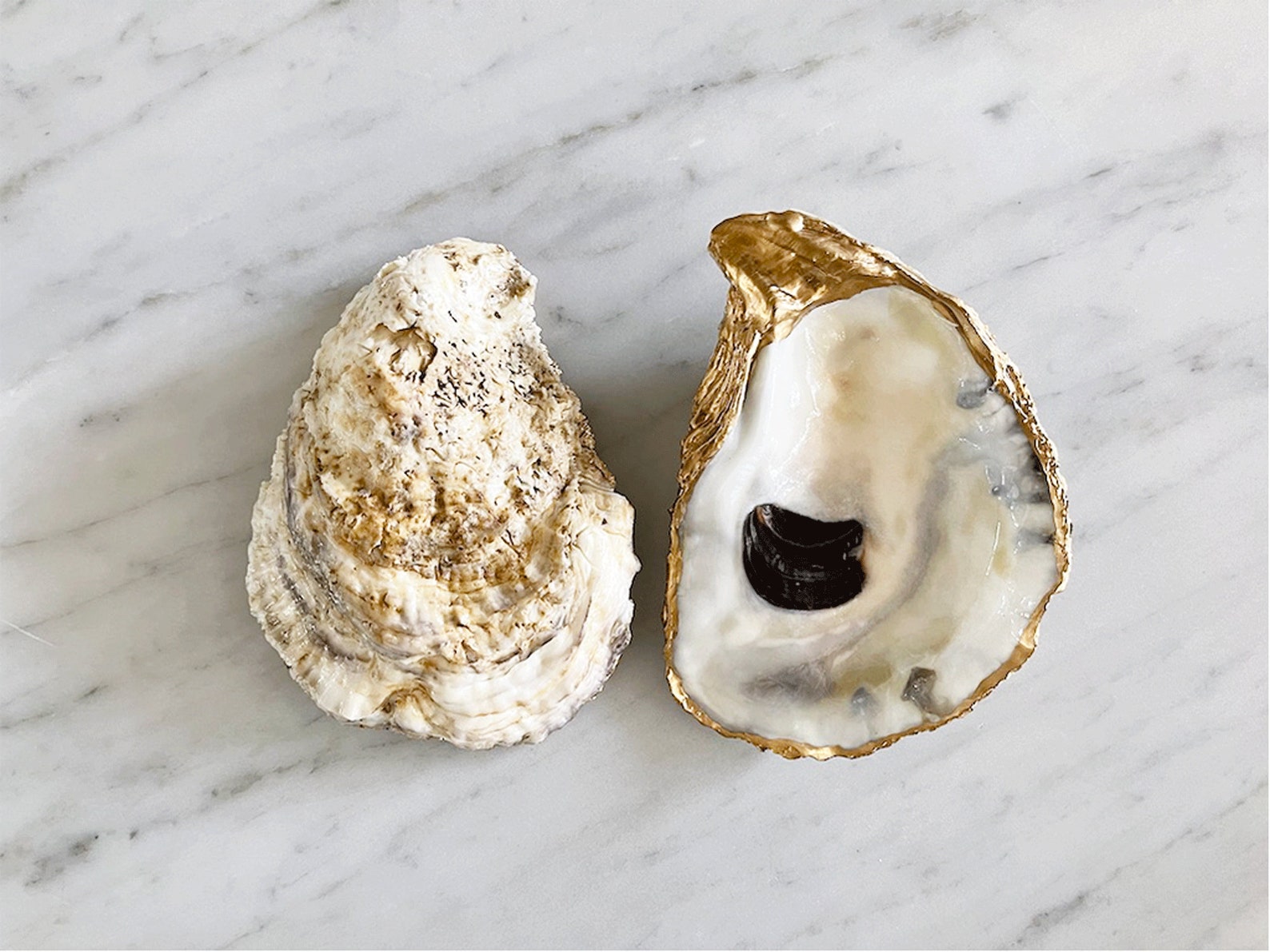 Gilded Oyster Shell Jewelry Dish Lowcountry Coastal Decor | Etsy