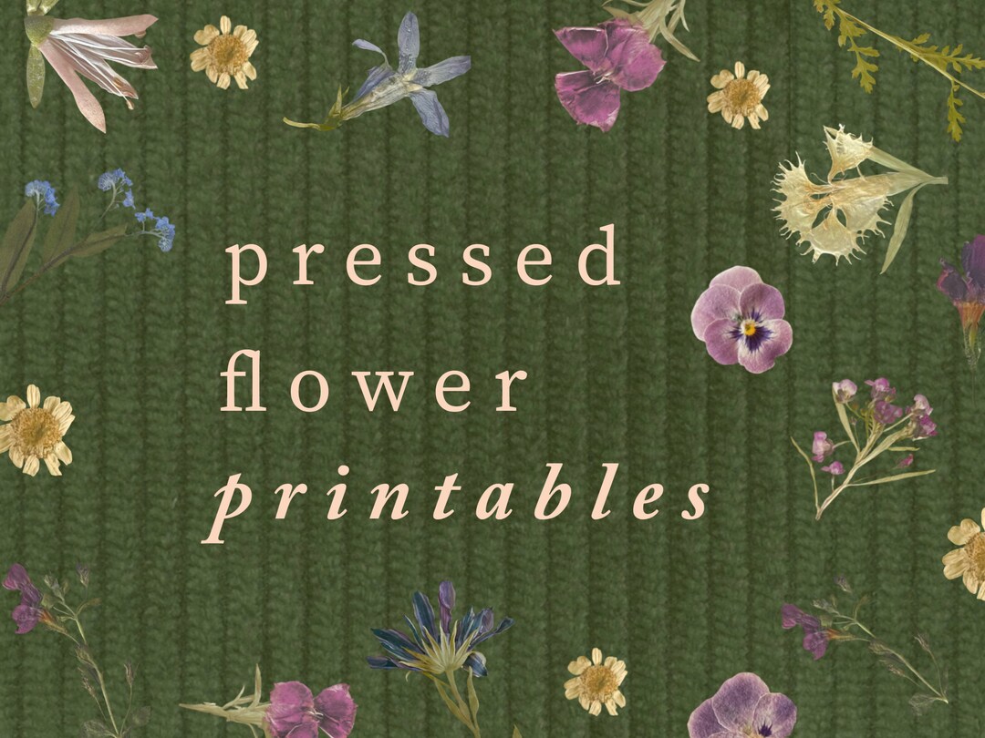 Pressed Dried Flower Printable | Scrapbook Ephemera, Floral Elements ...