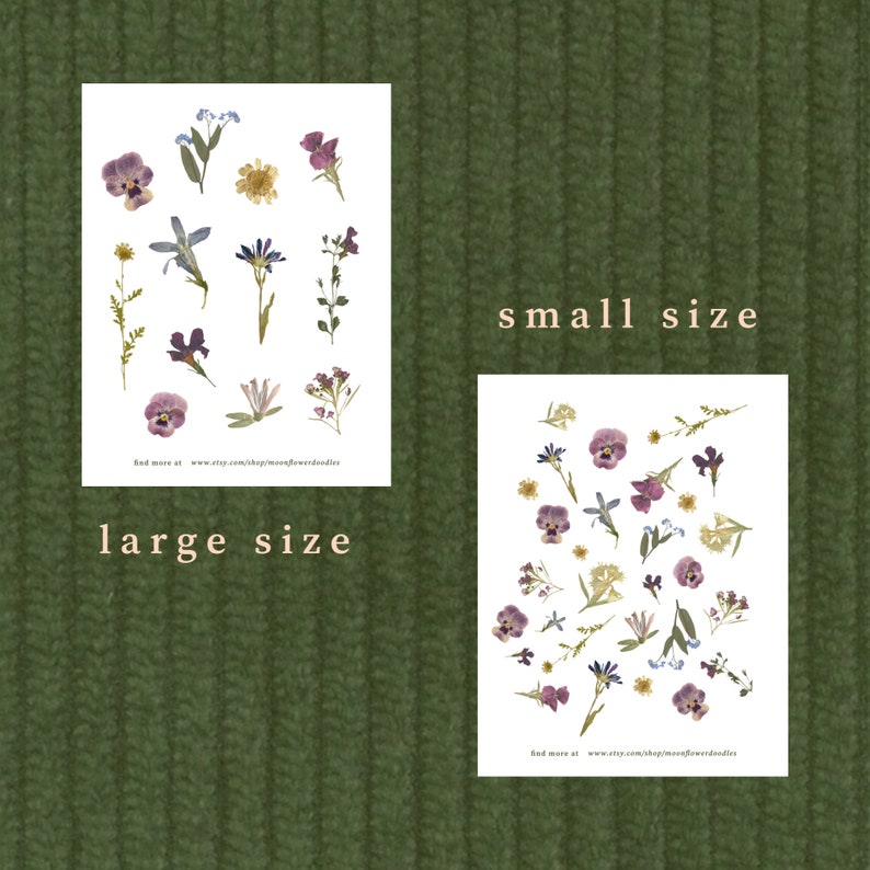 Pressed Dried Flower Printable | Scrapbook Ephemera, Floral Elements ...