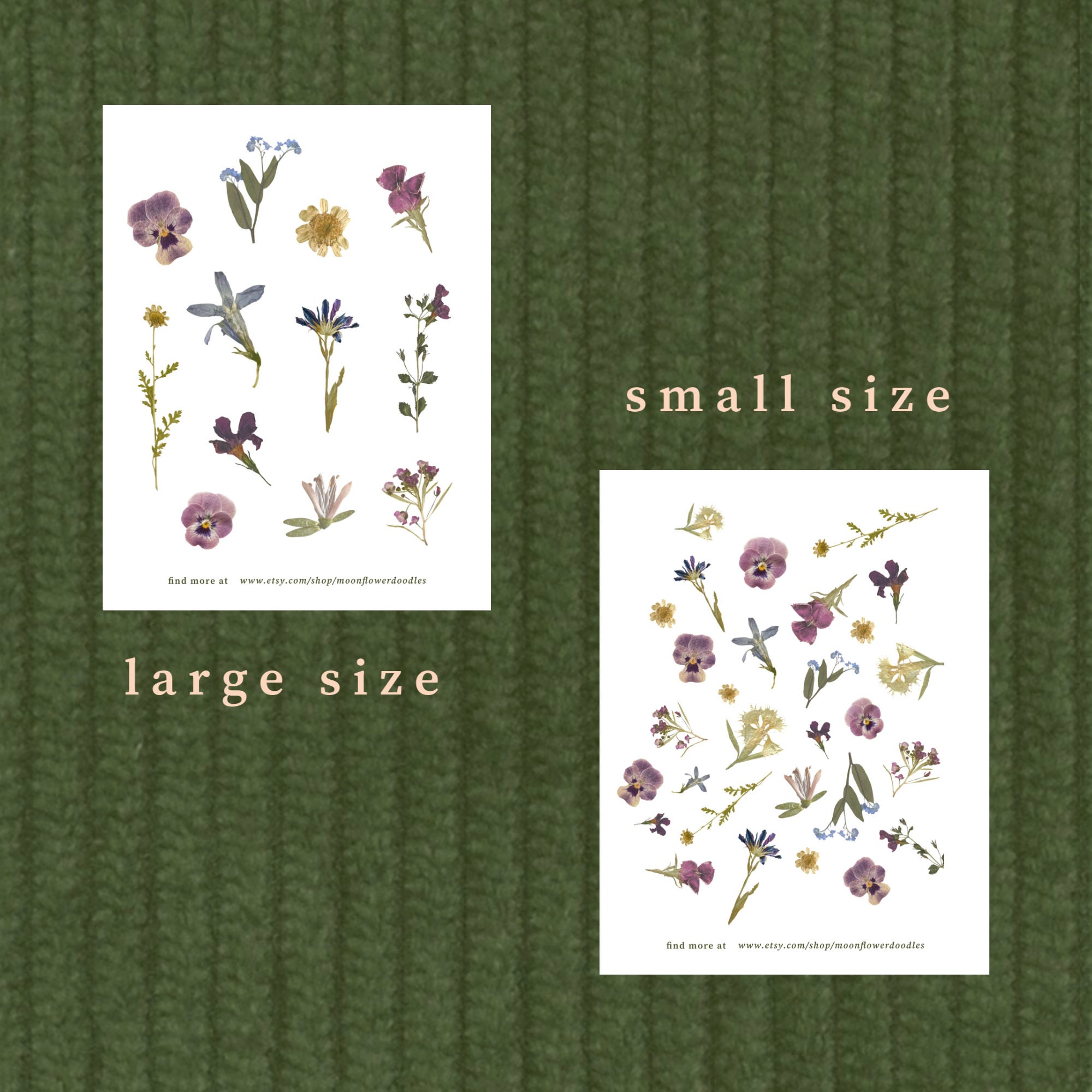 Pressed Dried Flower Printable | Scrapbook Ephemera, Floral Elements ...