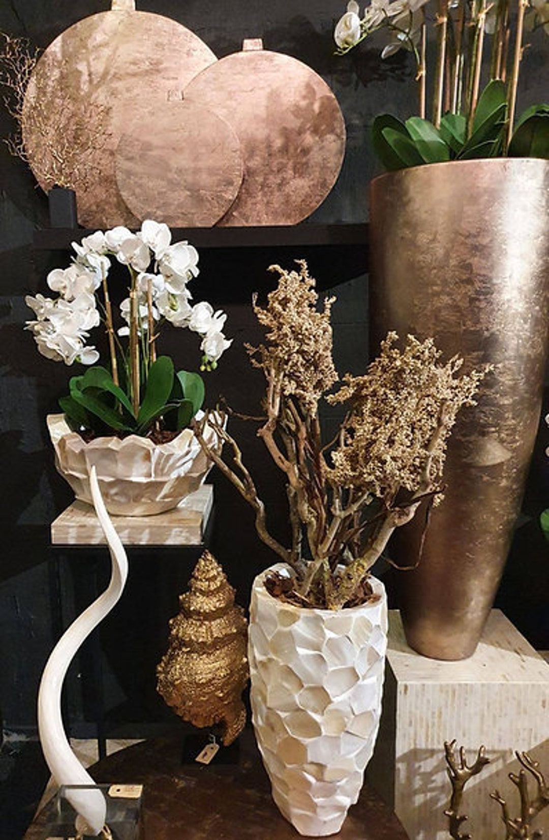 Shell/polyresin Vase - Gold, Bronze, Bronze Curved or White Curved - Etsy