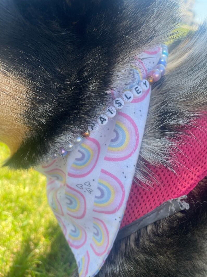 Taylor Swift Friendship Bracelet Collar - Etsy