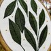 Whimsical Leaf Embroidery - Etsy