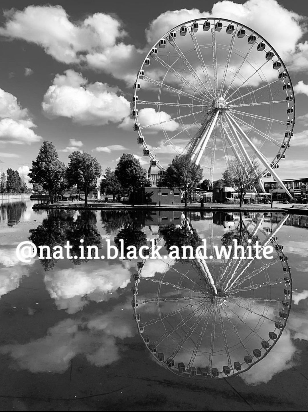 La Ferris Wheel. - Etsy