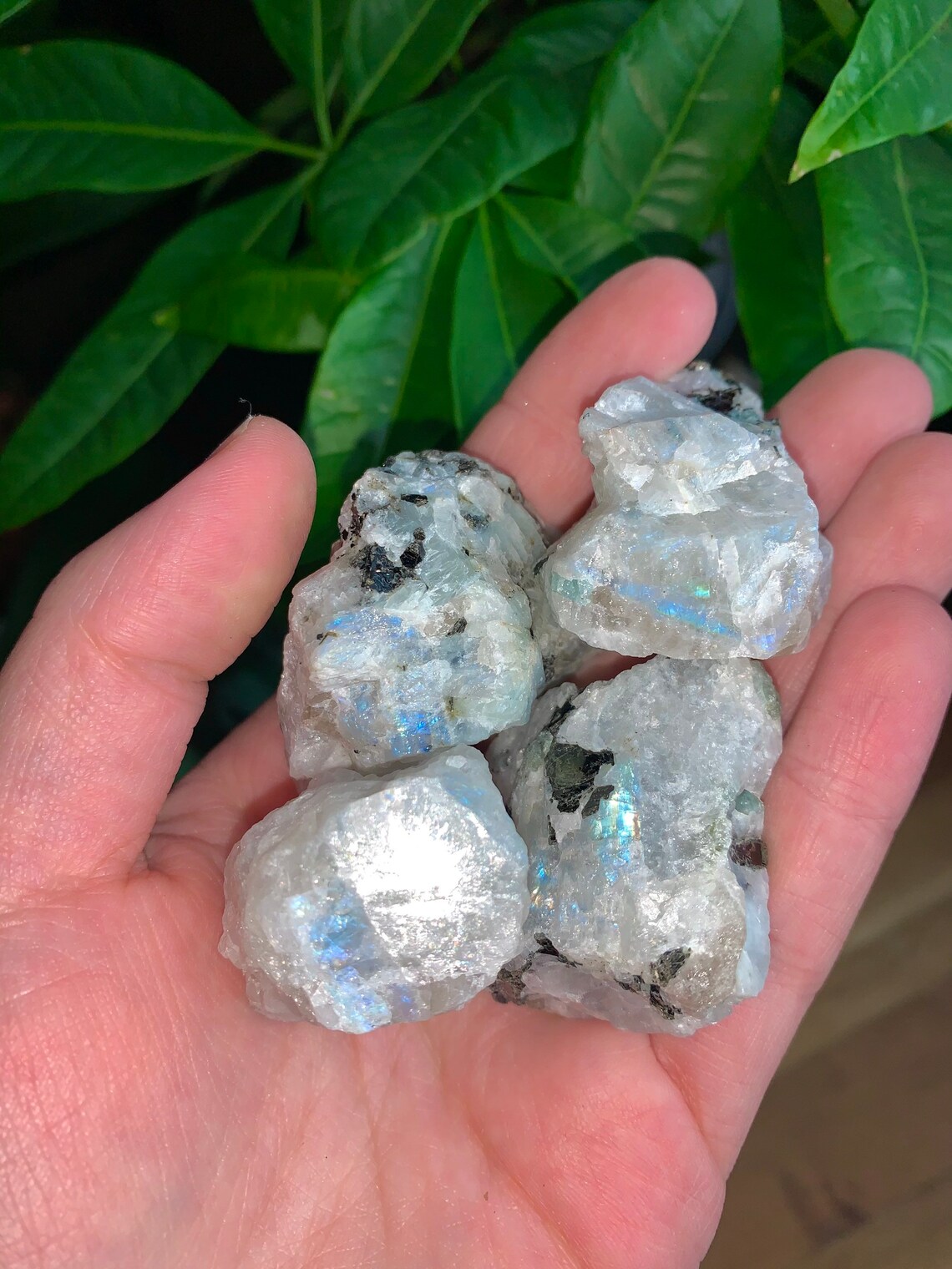 Rainbow Moonstone White Labradorite Raw Rough | Etsy