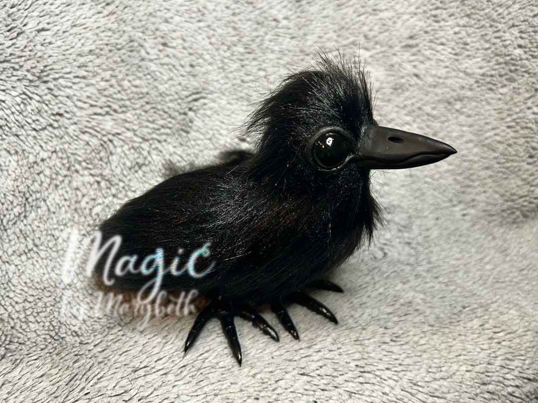 Crow Doll Posable Wings Little Crow Black Bird Doll OOAK Art Doll - Etsy