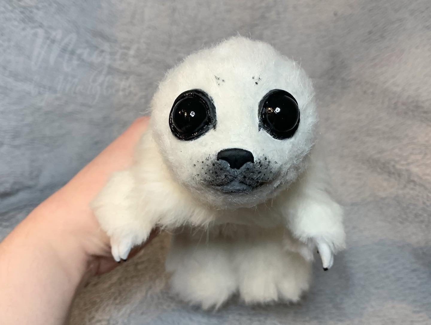 Happy Baby Harp Seal