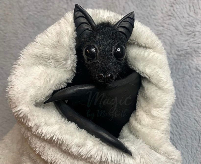 Black Fruit Bat Baby at Gregory Lawerence blog