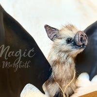 Emily the Bat Custom, Glow in the Dark - Etsy