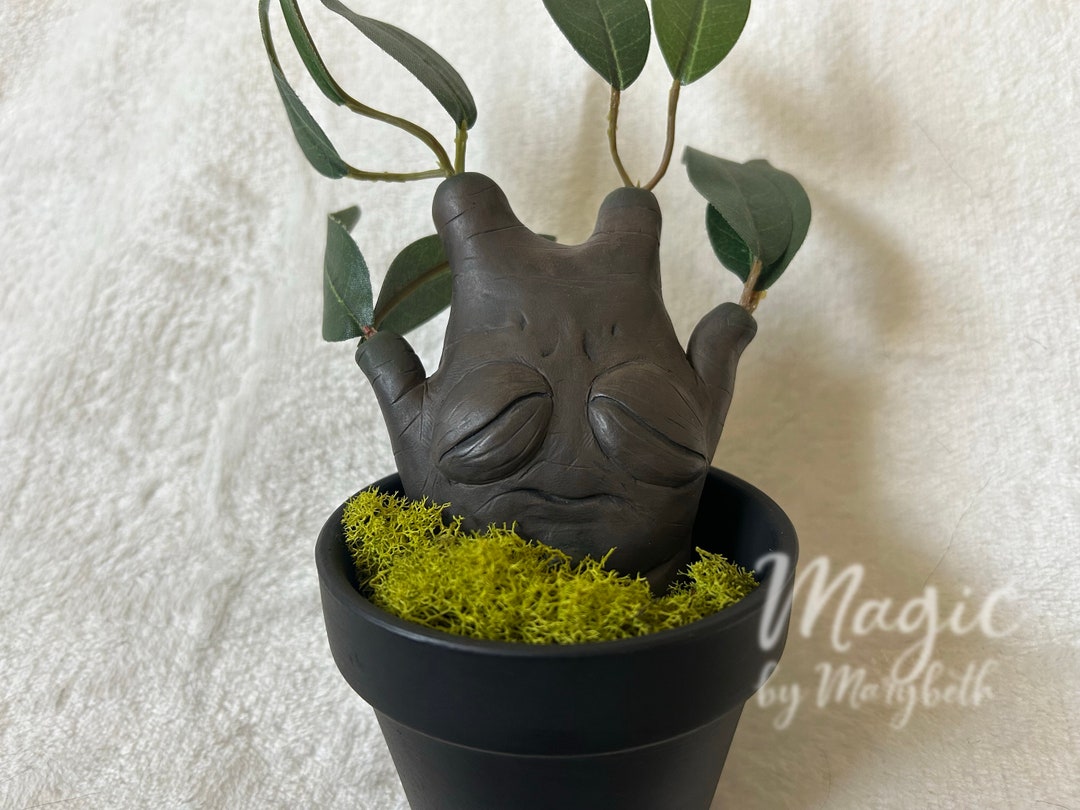 Mandrake Root in a Pot Handmade Sculpture - Etsy