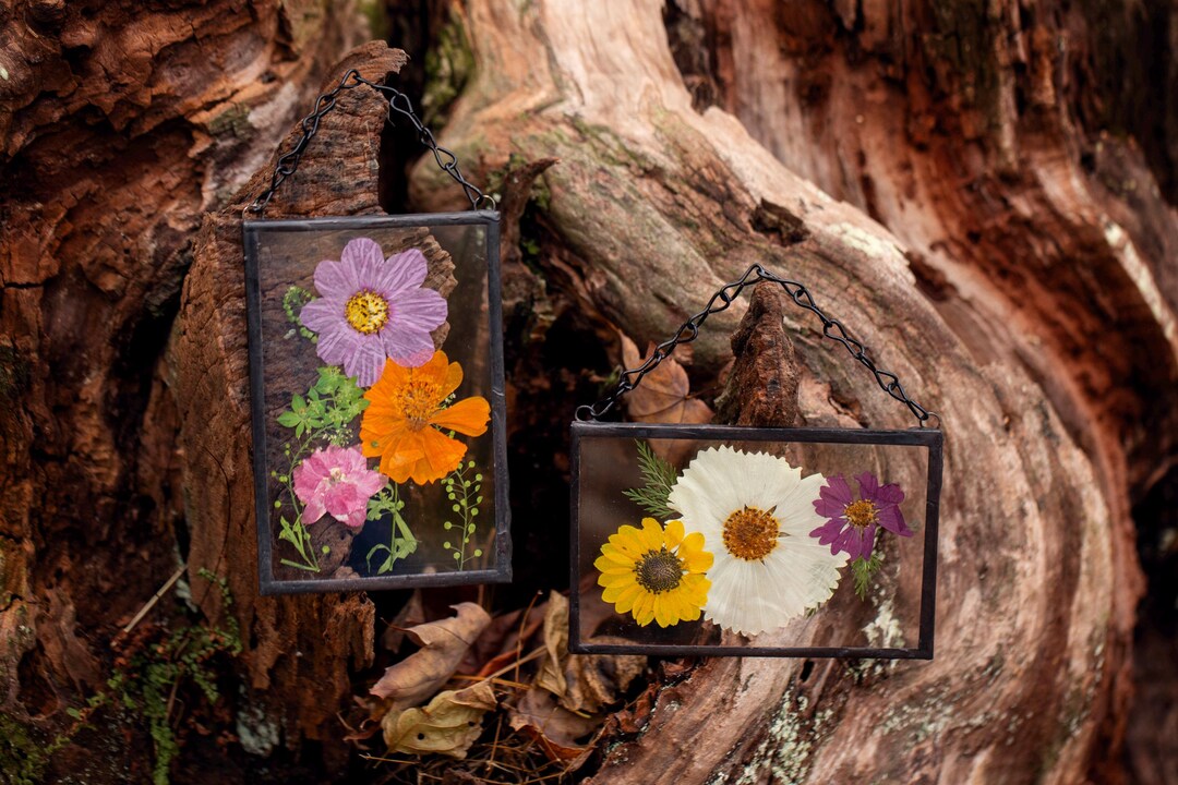 Pressed Flower Frame, Wall Hanging, Dried Flowers, Gifts for Her, Home ...