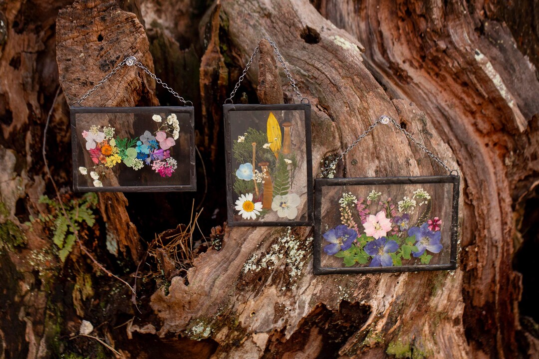 Pressed Flower Frame, Wall Hanging, Dried Flowers, Gifts for Her, Home ...