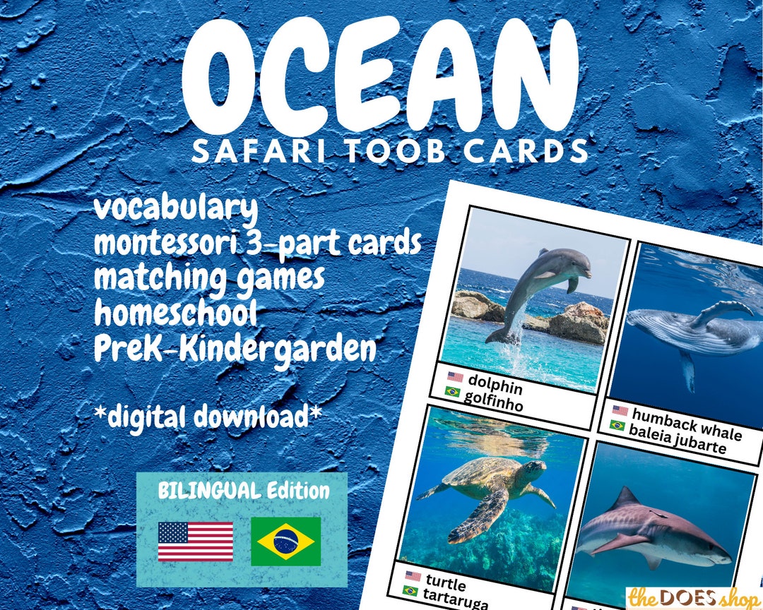 Bilingual Ocean Animals Cards Matching Safari TOOB Figurines for ...