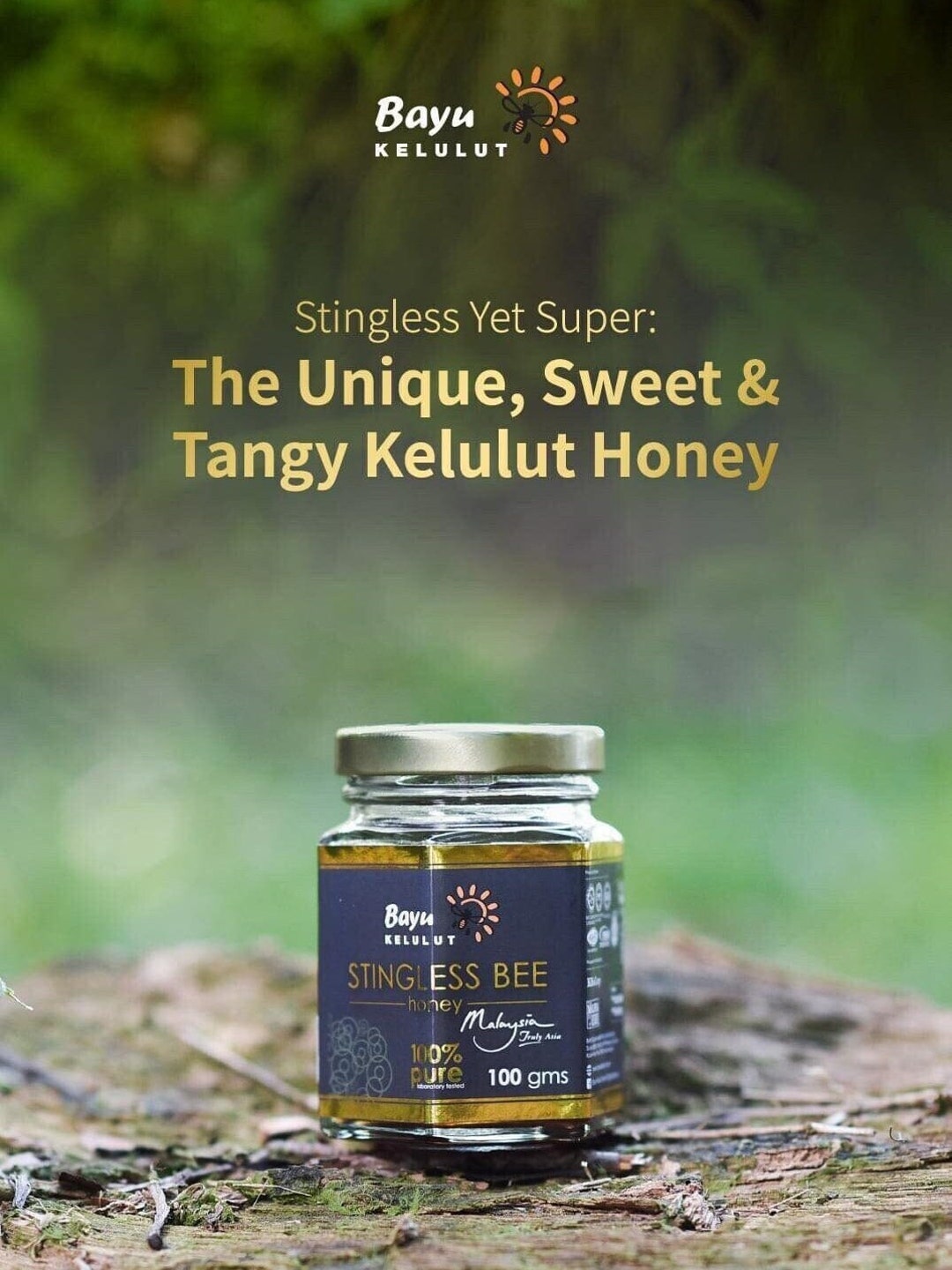 Raw Stingless Bee Honey: Dark Batch, Rainforest Taste - 100g - Etsy