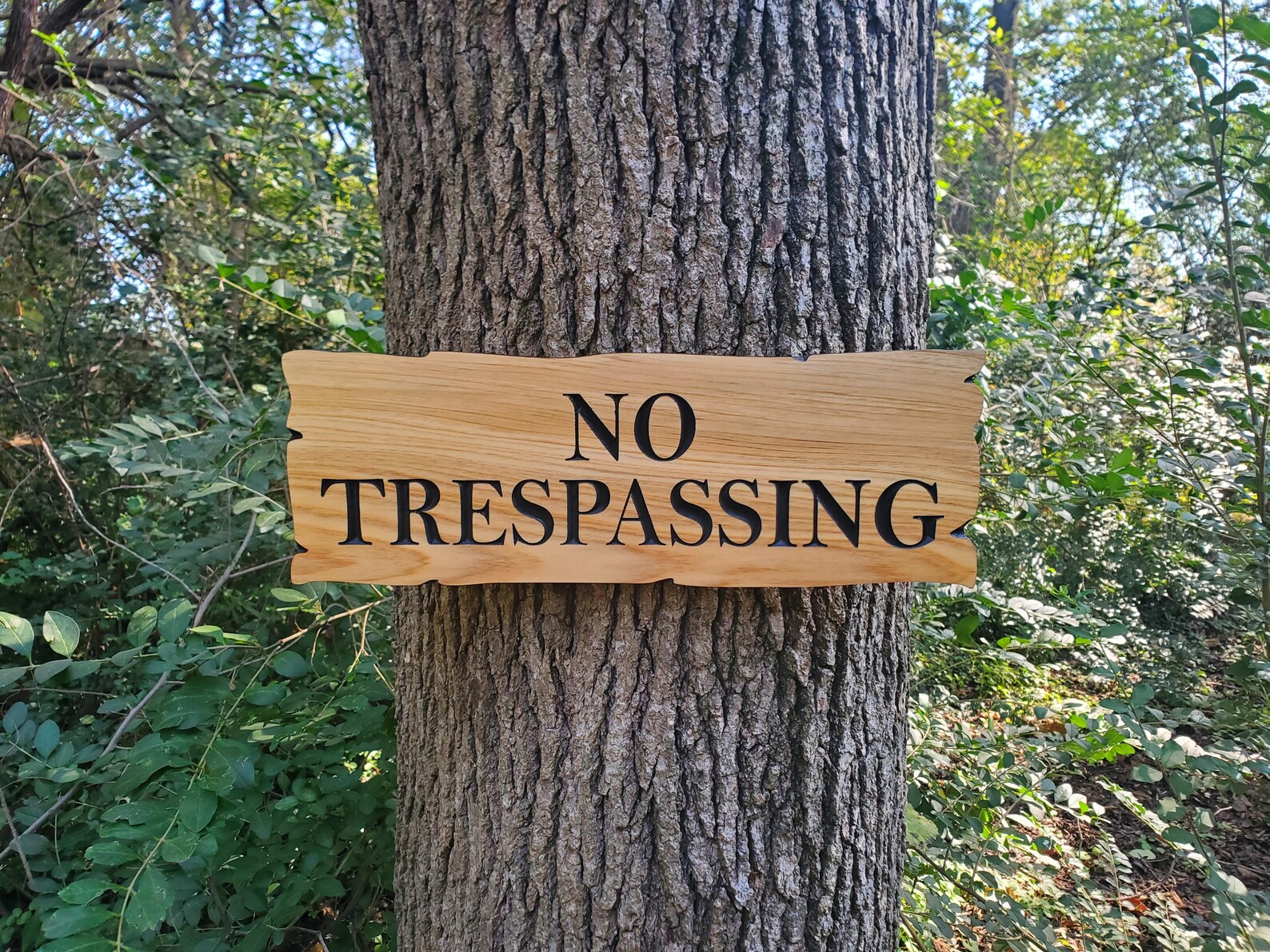 No Trespassing Wooden Sign, Rustic Cedar or Cypress Outdoor Wood Carved ...