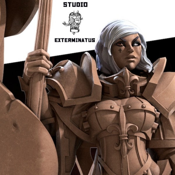 Sisters of Battle Stl - Etsy