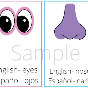 Digital Flash Cards, Parts of the Body, 24 Printable Flashcards in ...