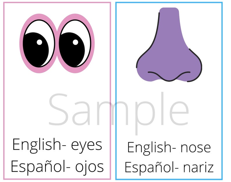 Digital Flash Cards, Parts of the Body, 24 Printable Flashcards in ...