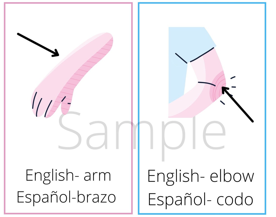 Digital Flash Cards, Parts of the Body, 24 Printable Flashcards in ...