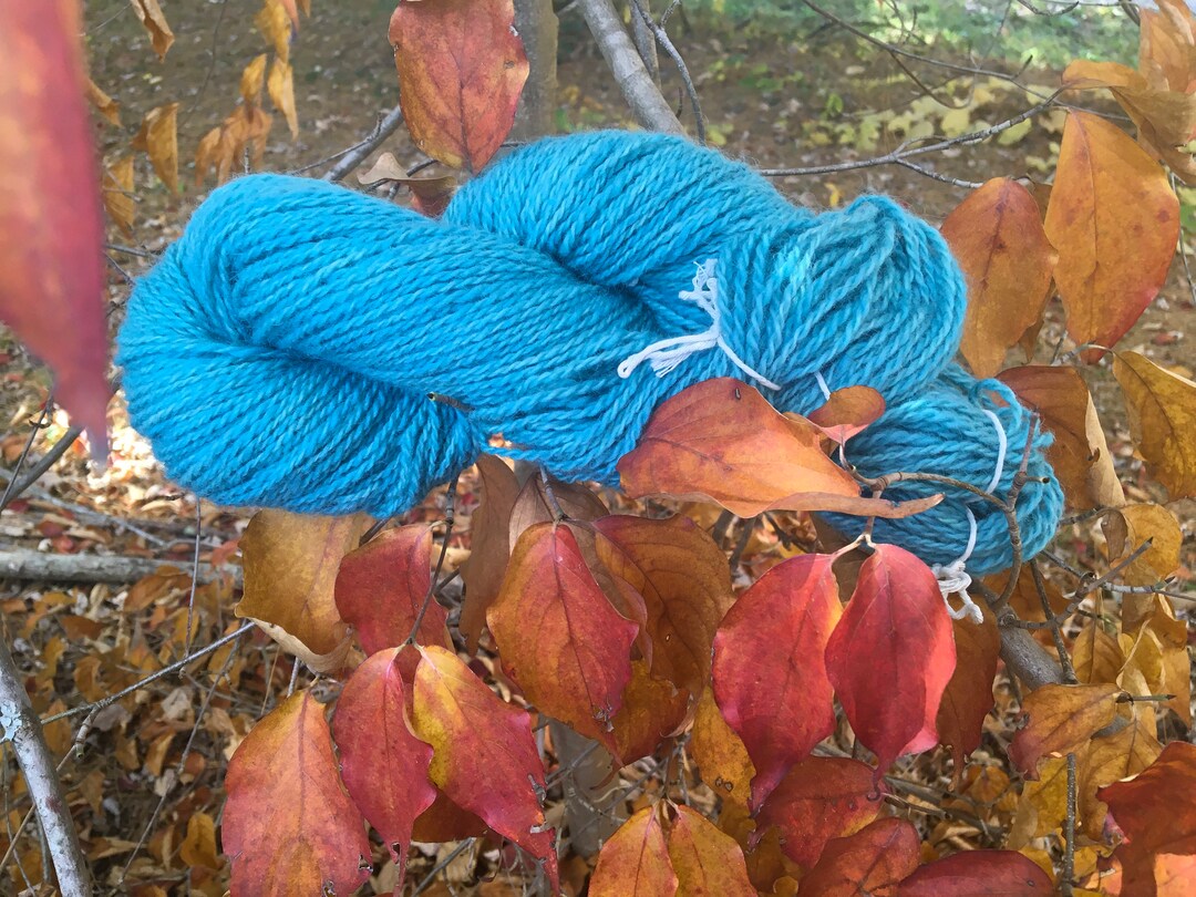 Cotswold Sheep Wool/angora Goat Mohair Blend. Hand Dyed With Lanaset ...