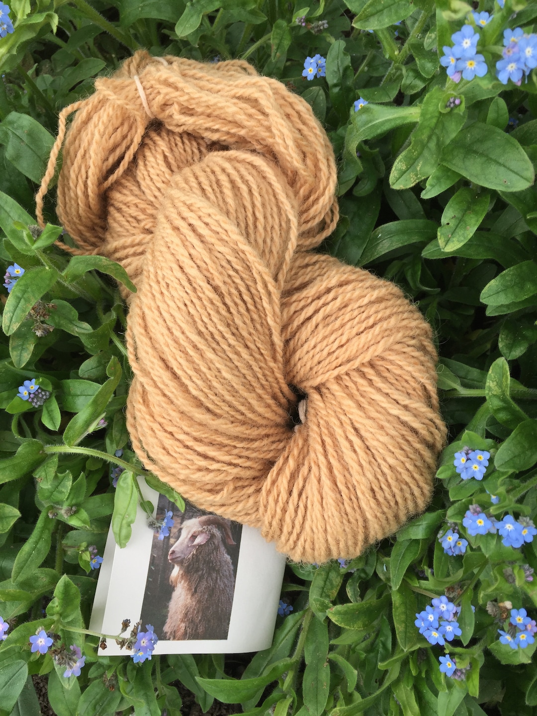 600 Yards of Cotswold Sheep Wool/angora Goat Mohair Blend, Organic ...