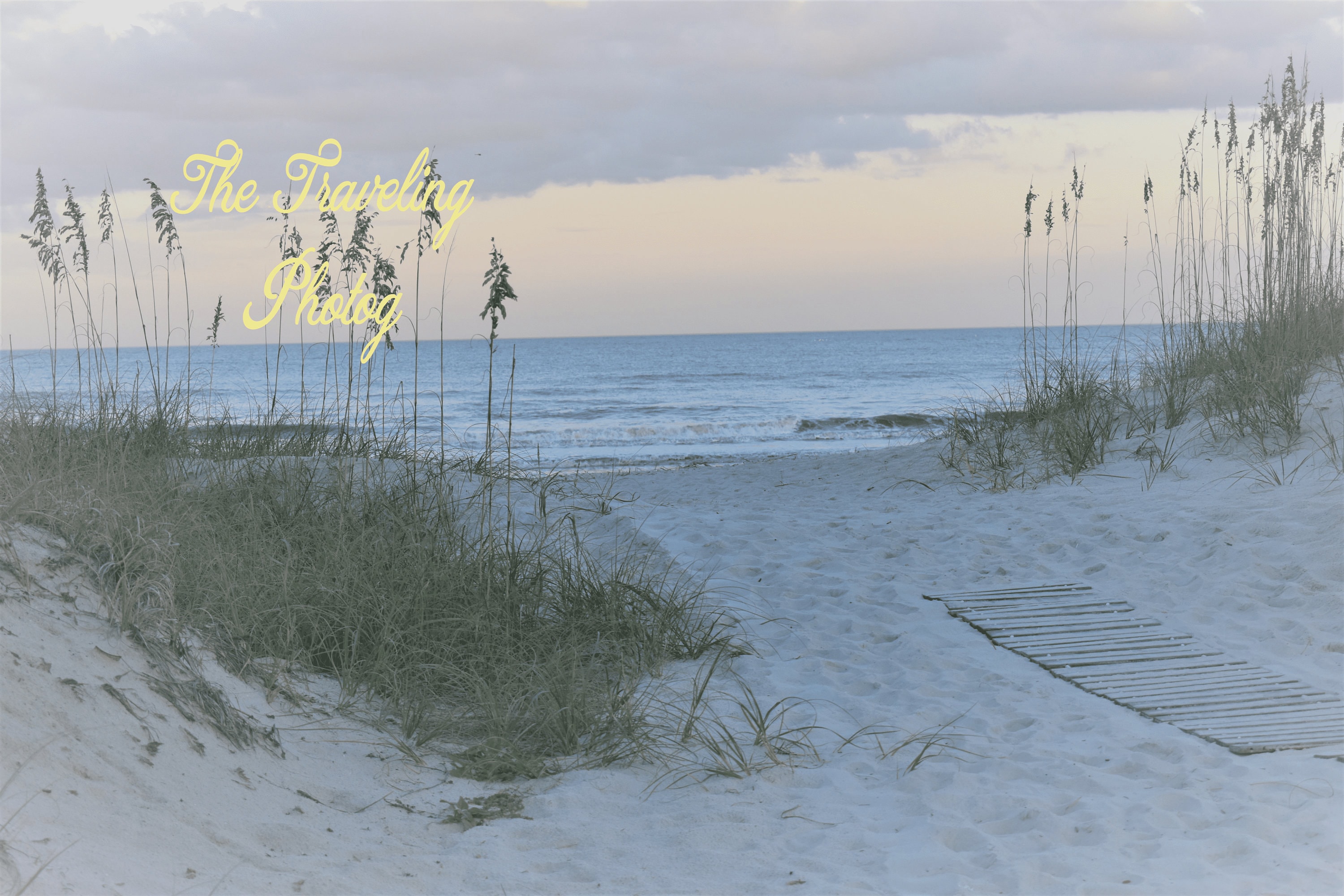 Paseo marítimo en amelia island - Etsy España