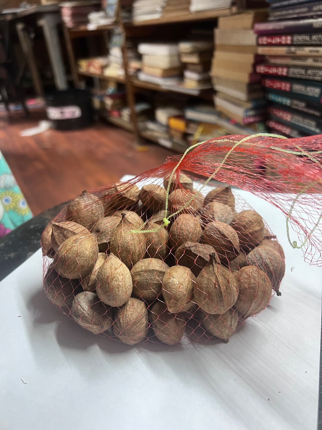 2 Pound Hickory Nuts in Shell. Indiana Found - Etsy