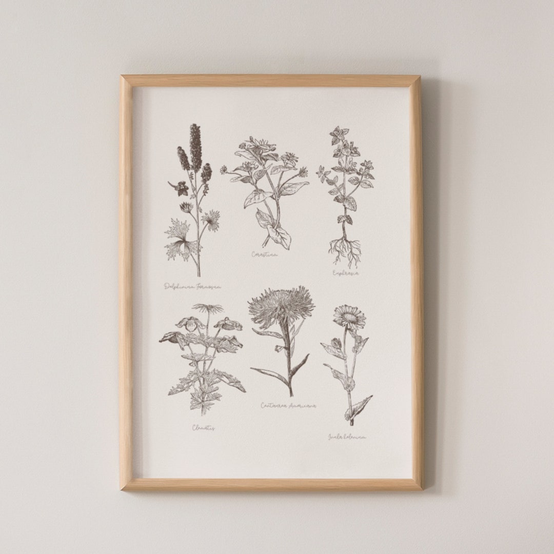 Herbarium Art | Vintage Botany | Botanical Ephemera | French Cottage ...