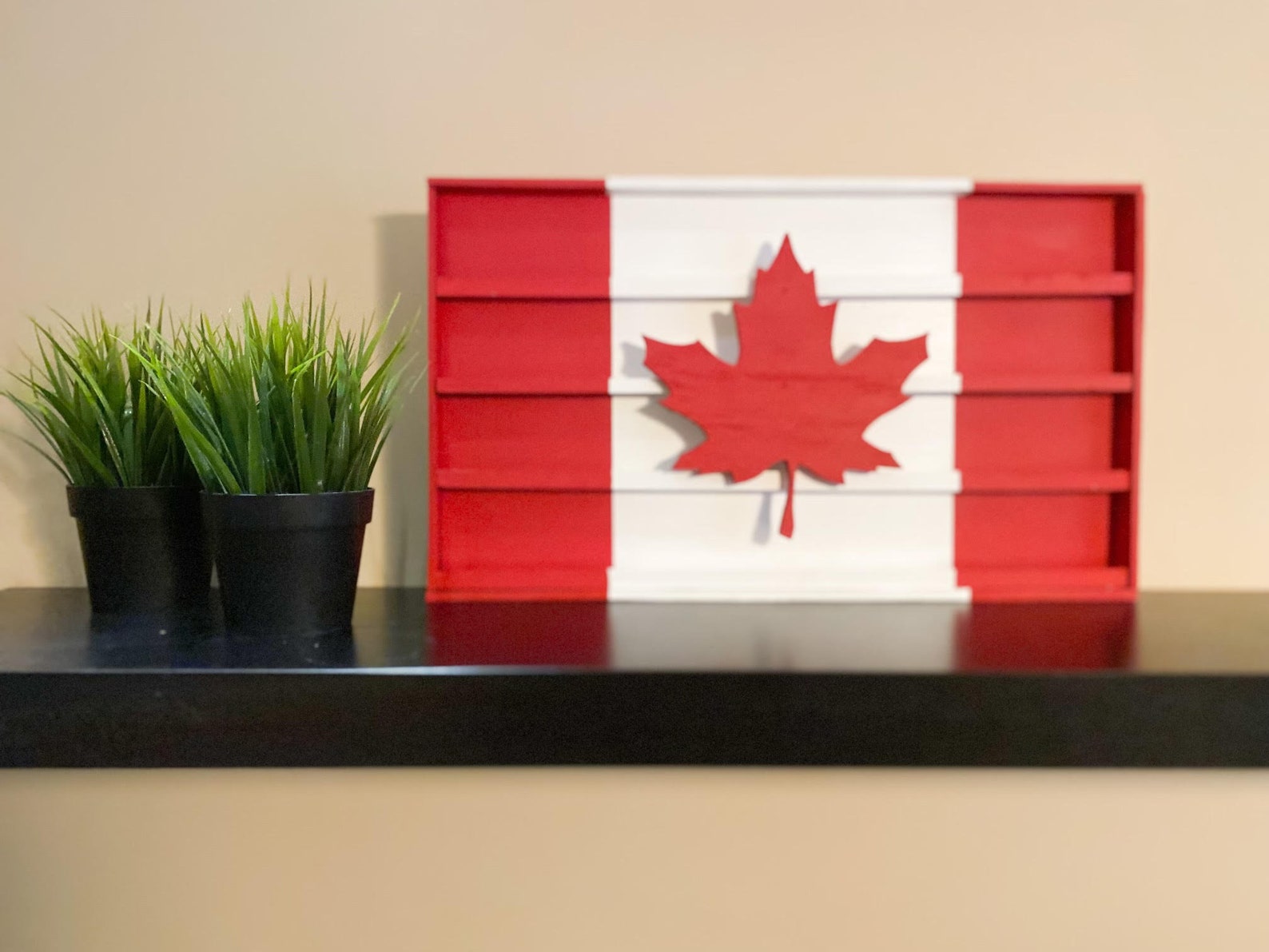 Challenge Coin Holder Canada | Wall Mount | Law Enforcement/military ...