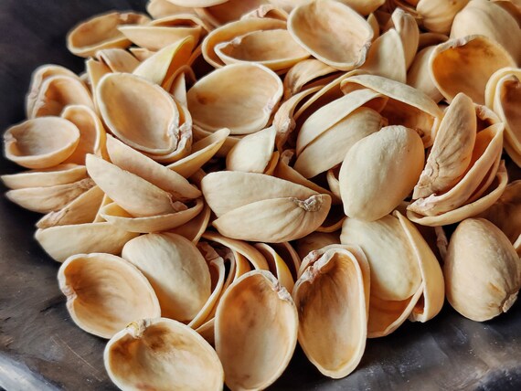 Pistachio Shells 100g Empty Pistachio Shells Peels Natural | Etsy