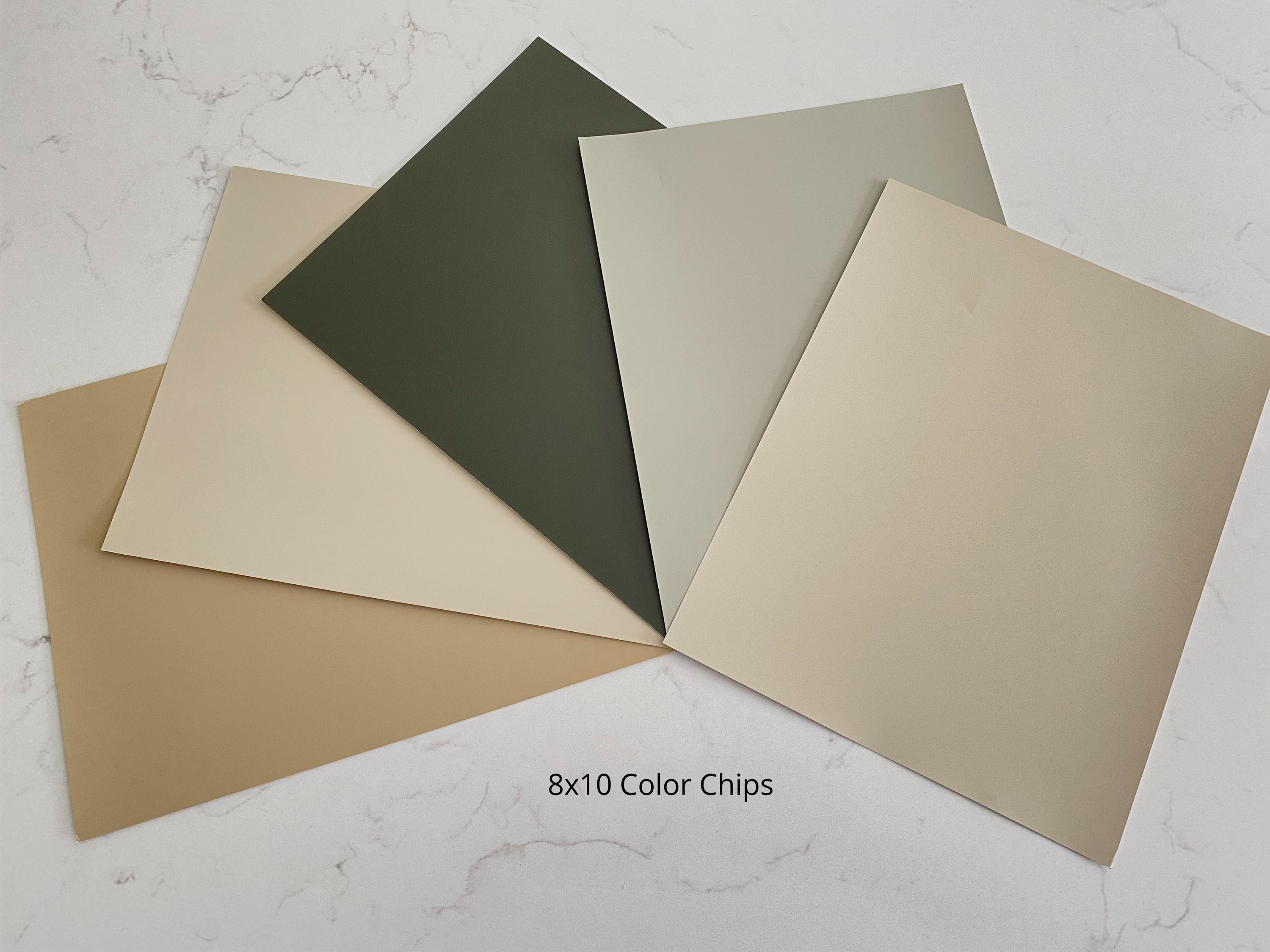 Paint Palette: Brush of Nature-actual Color Chips - Etsy