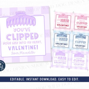 Clipped My Heart | Claw Clip for Hair | Valentine's Day | Gift Tag ...